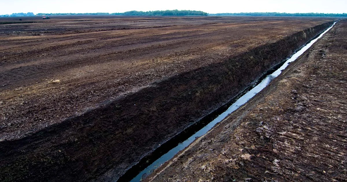Campaign Exposes Hidden Peat In Retail Products Birdguides