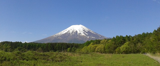 Japan –spring in central Honshu - BirdGuides