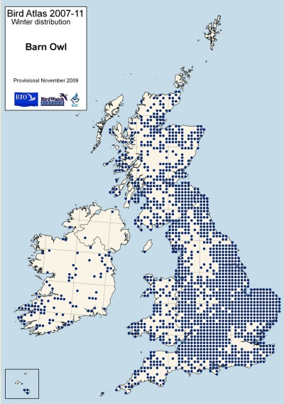 Help with year three of the Bird Atlas - BirdGuides