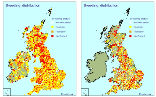 First breeding season for Bird Atlas - still time to help - BirdGuides