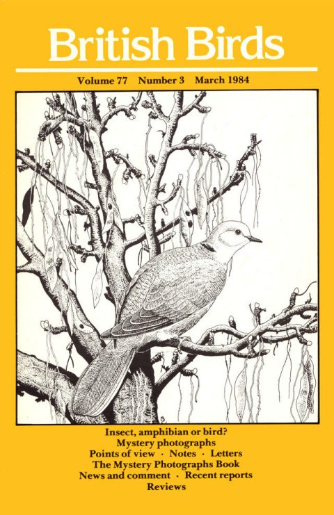 British Birds: Insect, amphibian or bird? - BirdGuides