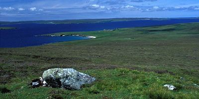 The Shetland Islands - BirdGuides