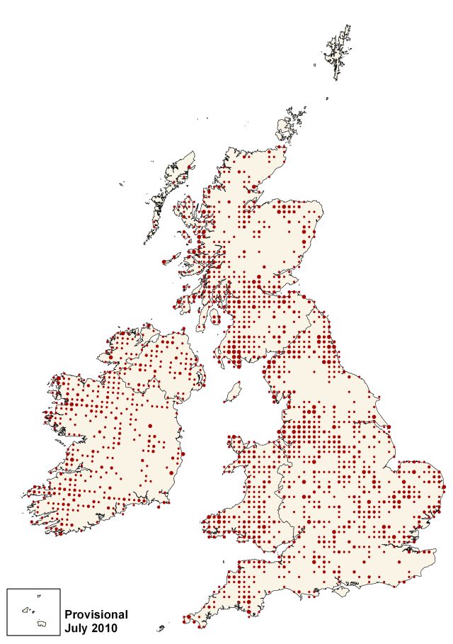 Bird Atlas: breeding season update - BirdGuides