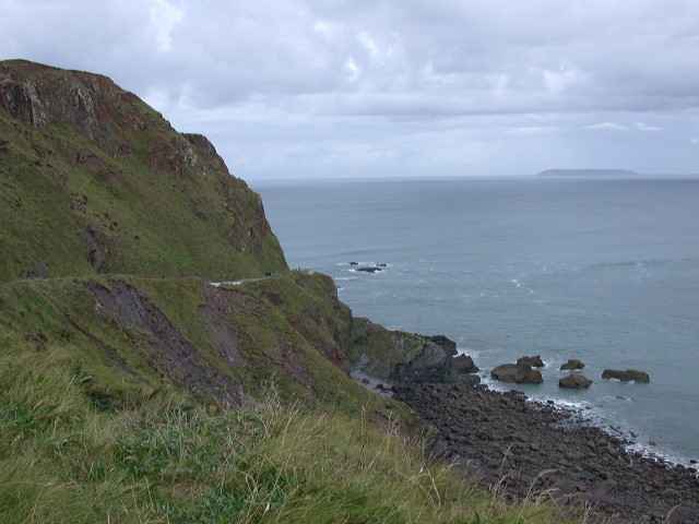 Moths in special habitats: Sea-cliffs and Headlands - BirdGuides