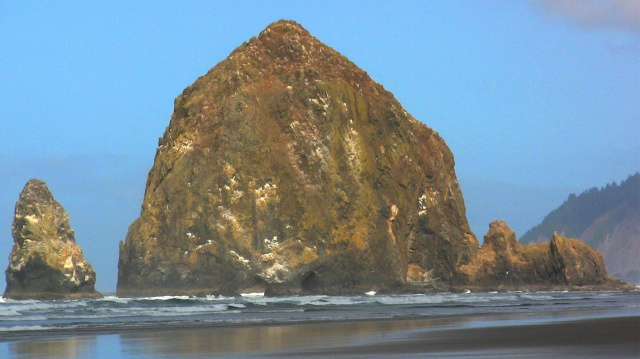 Oregon - land of the Tufted Puffin - BirdGuides