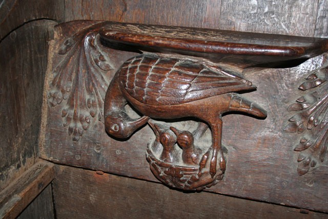Ornithologists 1 Antiquarians 0 – a medievalist misidentification ...