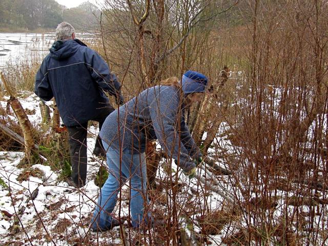 Industrial sites recognised as havens for birdlife - BirdGuides