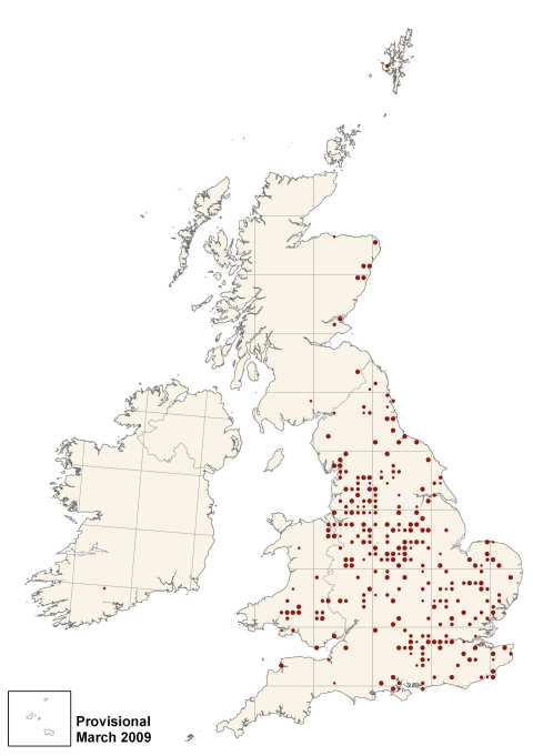 Take part in the Bird Atlas this breeding season - BirdGuides