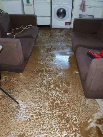 Effects of the floods, December 2013 - BirdGuides