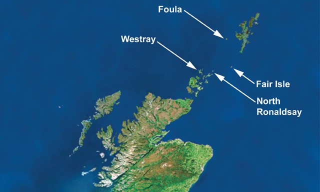 Going Northwest: Spring 2013 field expedition to Westray, Orkney ...