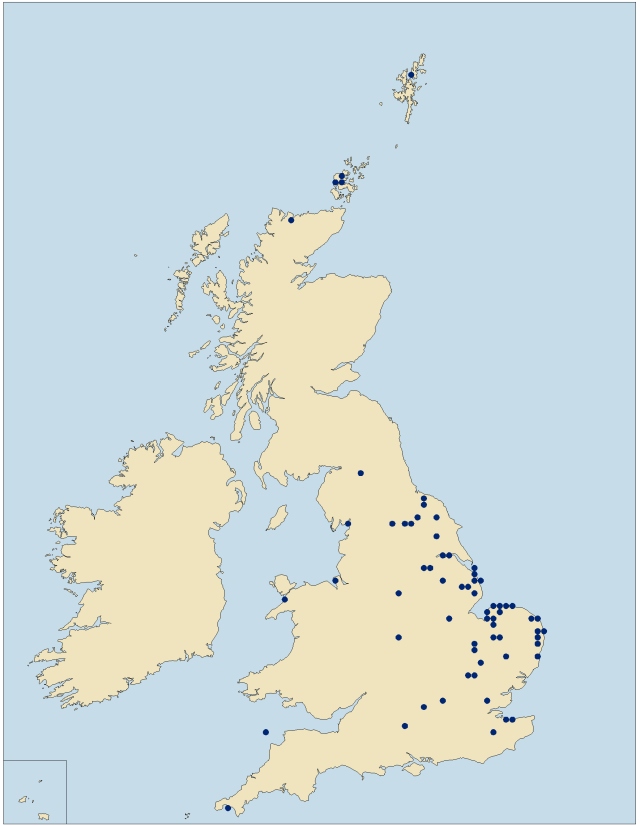 Bird Atlas: flavours of the month - BirdGuides
