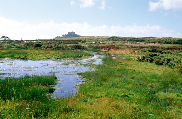 Birding by train: The South-West - BirdGuides