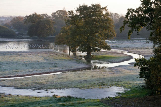 Birding by train: The South-West - BirdGuides