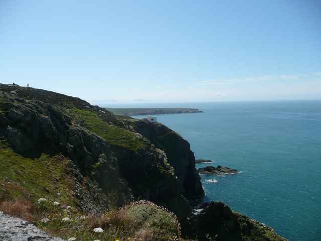 Moths in special habitats: Sea-cliffs and Headlands - BirdGuides