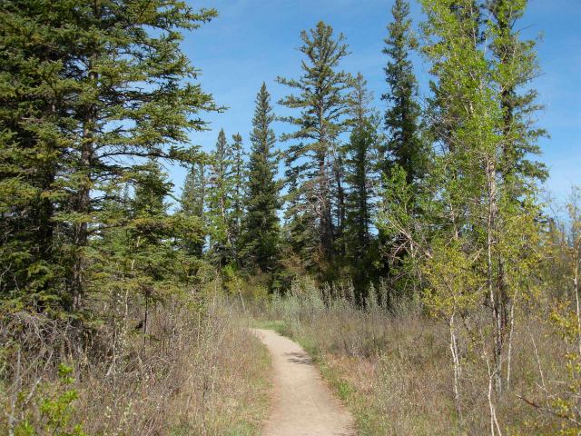 A wildlife experience in Alberta, Canada - BirdGuides