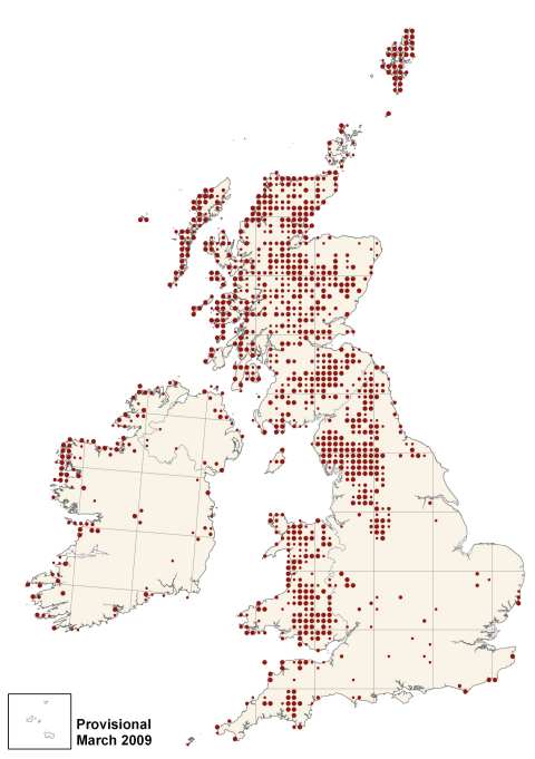 Take part in the Bird Atlas this breeding season - BirdGuides