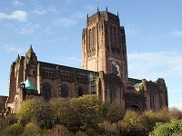 RSPB Liverpool migration watch - BirdGuides