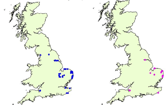 Bittern monitoring in the UK: summary of the 2010 breeding season ...