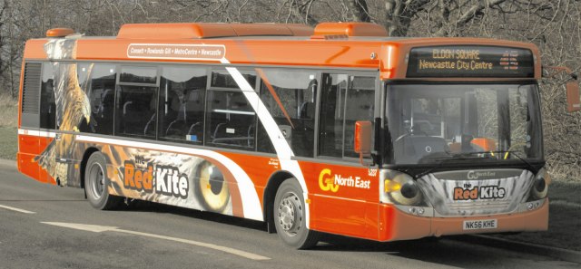 Red Kites come out of the blue and fly into the black - BirdGuides