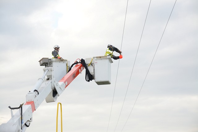 Special diverters reduce power line collisions around Martin Mere by 50 ...