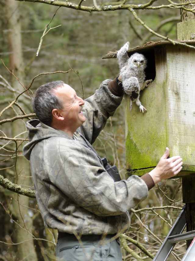 Voles are booming in Kielder - BirdGuides