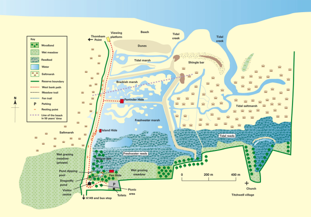 Hard choices at Titchwell RSPB - BirdGuides