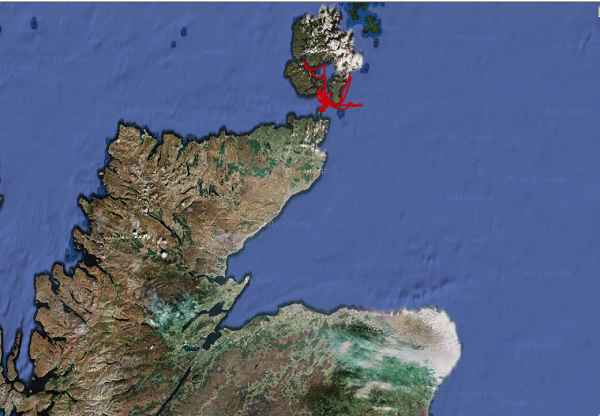 Pioneering seabird project reveals surprising results - BirdGuides