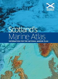 Atlas of Scotland's seas must map out space for wildlife - BirdGuides
