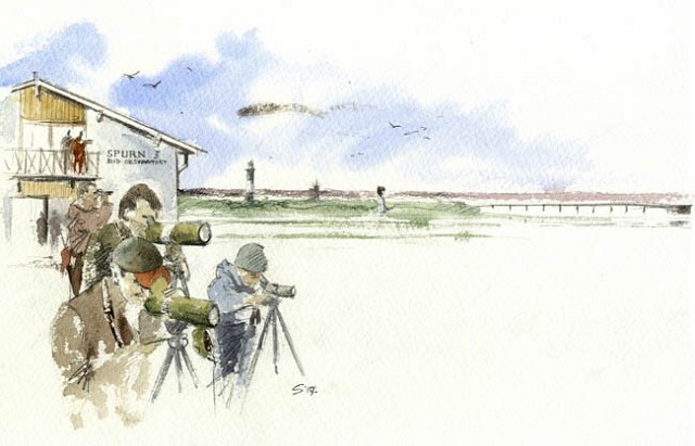 Spurn Bird Observatory Trust fundraising appeal - BirdGuides