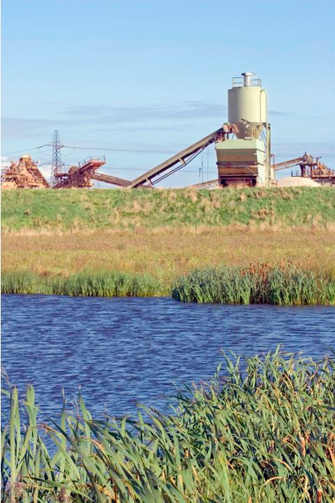 Threatened wildlife gets boost from quarries - BirdGuides