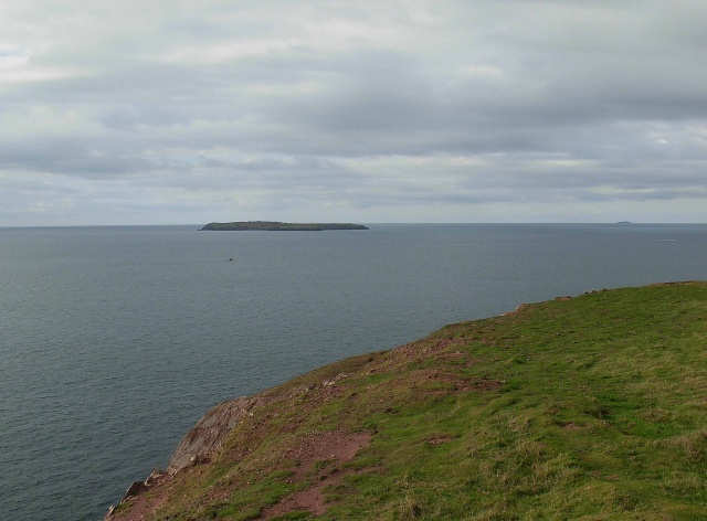 Skokholm revitalised - BirdGuides