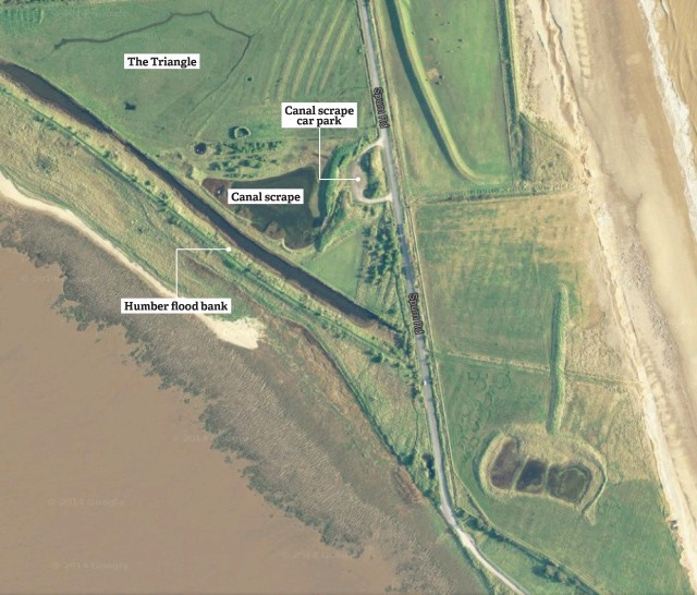 Future developments at Spurn National Nature Reserve - BirdGuides