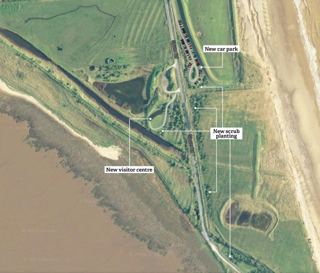 Are Dogs Allowed At Spurn Point