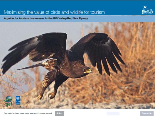 New guidebook published to help tourism industry - BirdGuides