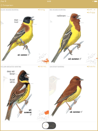 Collins Bird Guide app for iPhone and iPad - BirdGuides