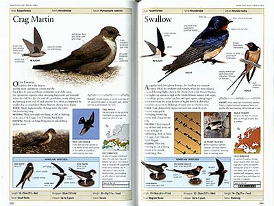 RSPB Birds of Britain and Europe by Rob Hume - BirdGuides