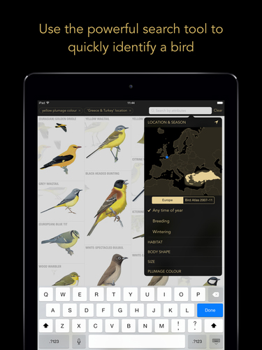 Updated Collins Bird Guide app released today - BirdGuides