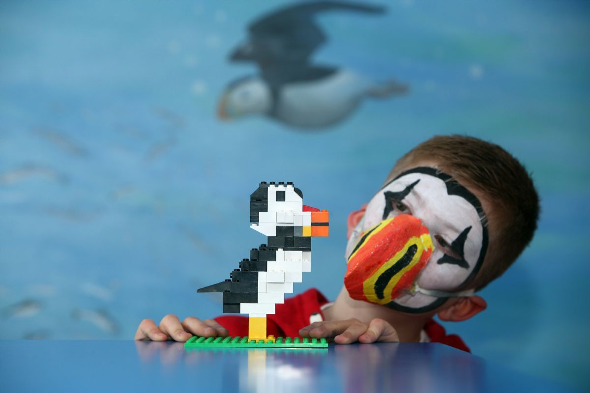 Children celebrate Puffins with LEGO - BirdGuides