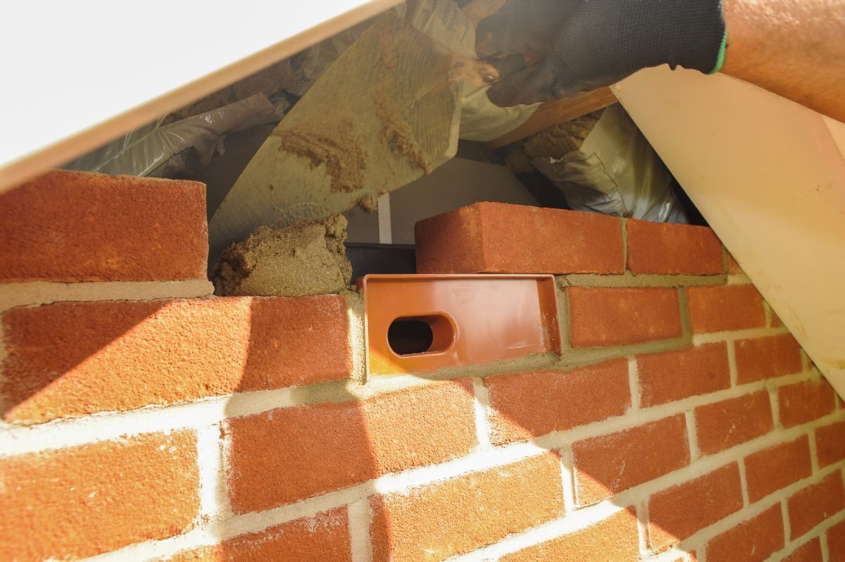 House-building for swifts and communities - BirdGuides