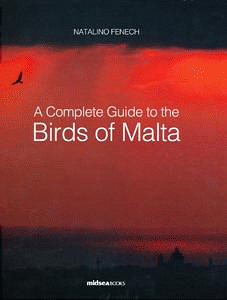 A Complete Guide to the Birds of Malta - BirdGuides