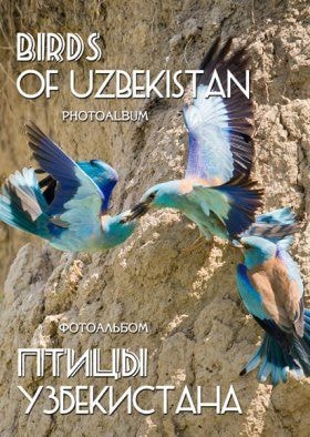 Birds of Uzbekistan Photoalbum - BirdGuides