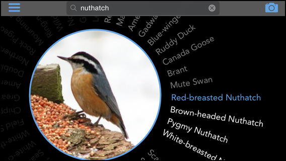 Birdsnap app - BirdGuides