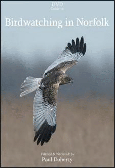 Birdwatching in Norfolk - BirdGuides