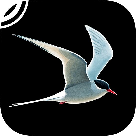 Collins Bird Guide app - BirdGuides