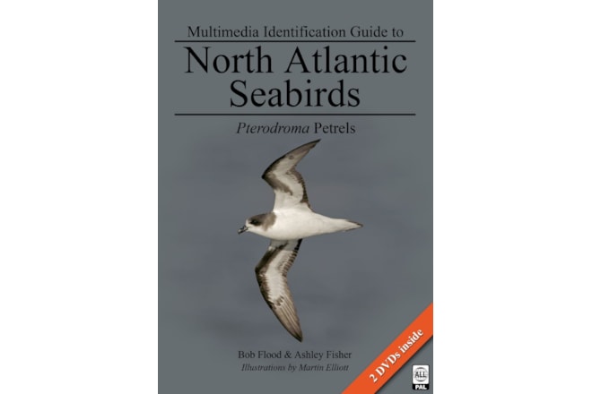 Multimedia Identification Guide to North Atlantic Seabirds: Pterodroma ...