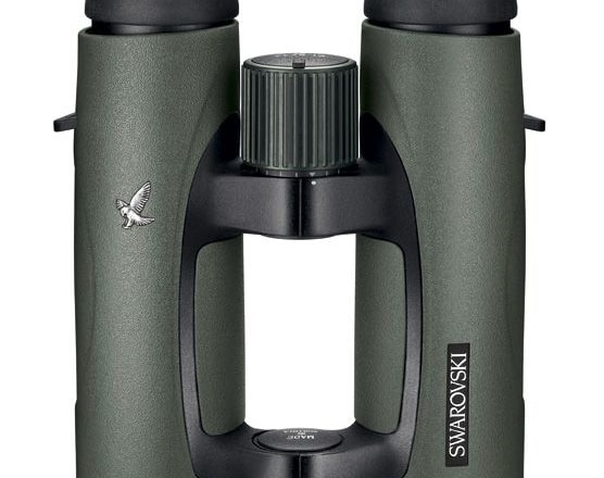 Swarovski EL 8x32 Binocular BirdGuides Swarovski EL 8x32 Binocular BirdGuides
