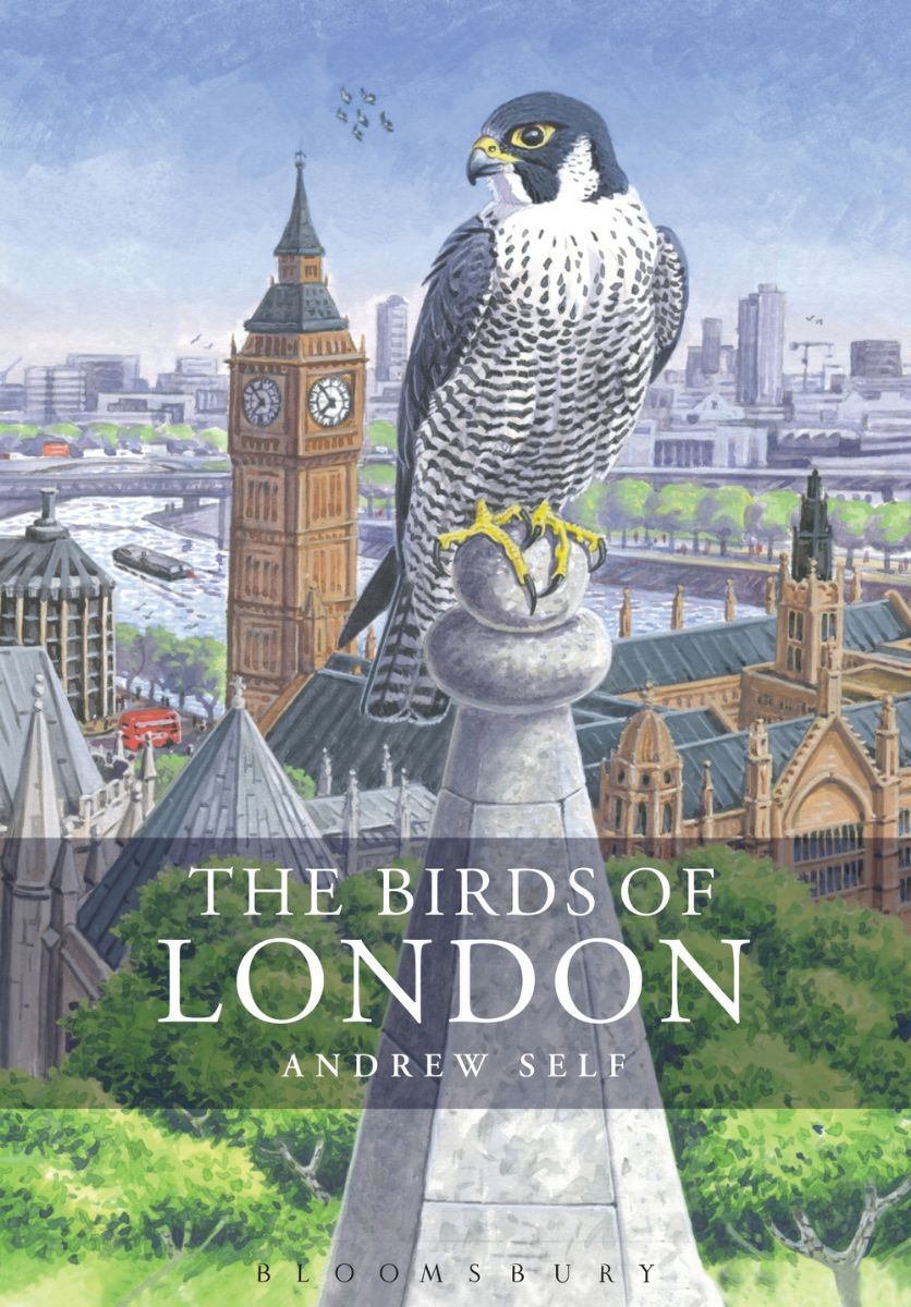 The Birds of London - BirdGuides