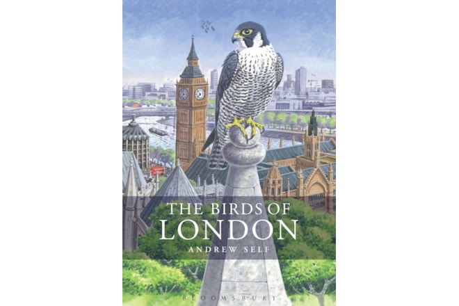 The Birds of London - BirdGuides