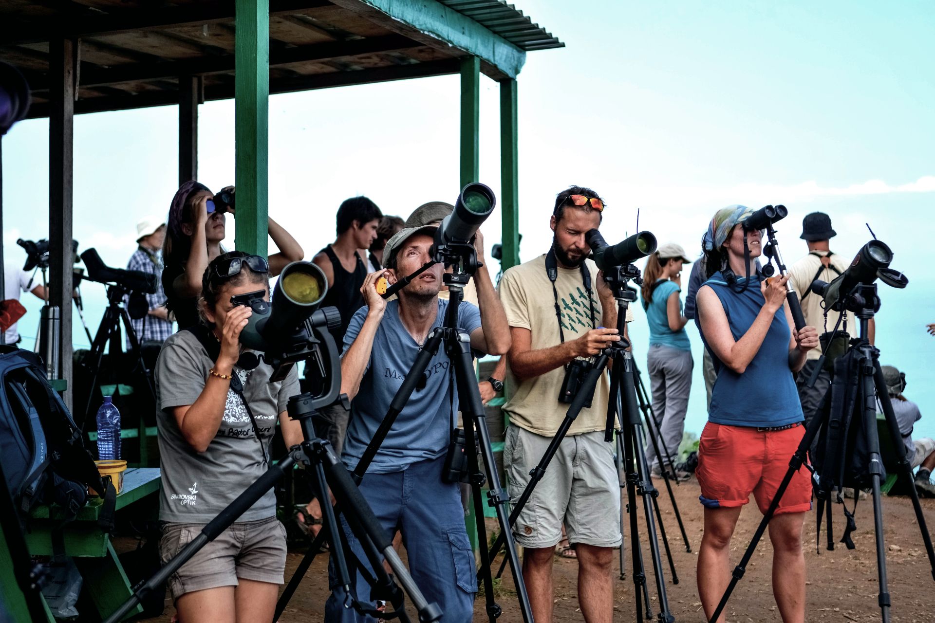 Batumi: Georgia's amazing migration hot-spot - BirdGuides
