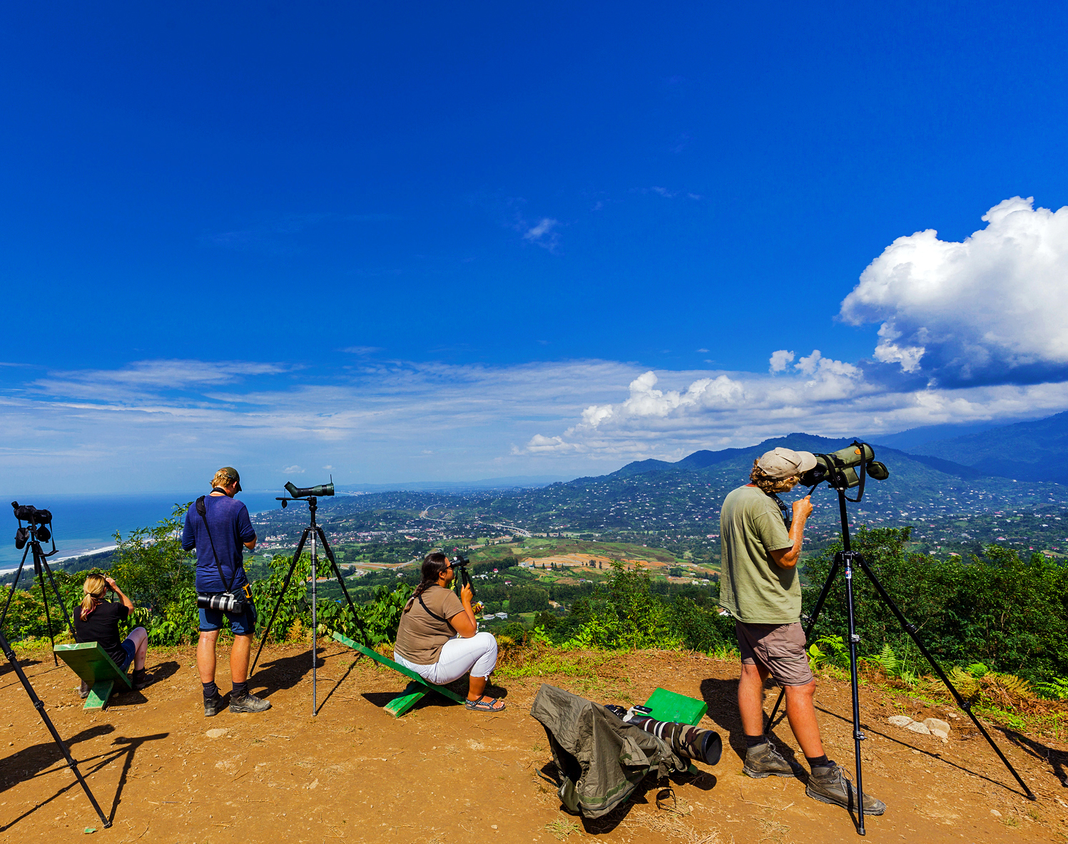 Batumi: Georgia's amazing migration hot-spot - BirdGuides